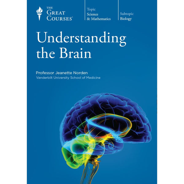 Understanding the Brain – DISC FANATIC